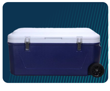 Insulated Esky | Portable Cooler Box With Easy Carry Handle